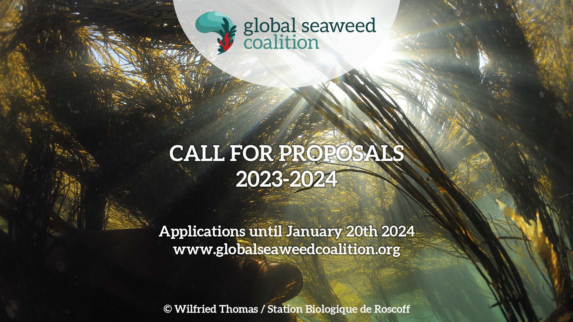 Call For Proposals 2023-2024 - Global Seaweed Coalition