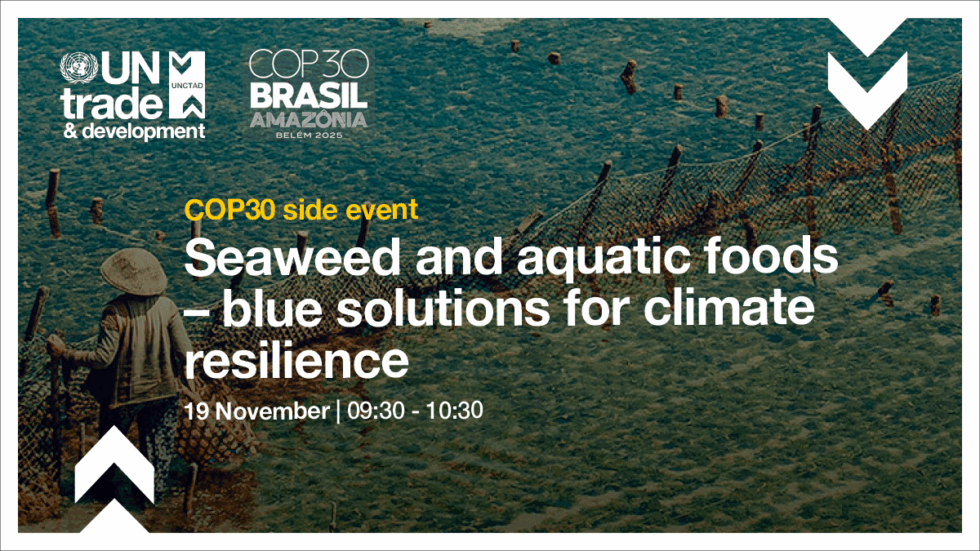 COP30 side event: Seaweed and aquatic foods – blue solutions for ...